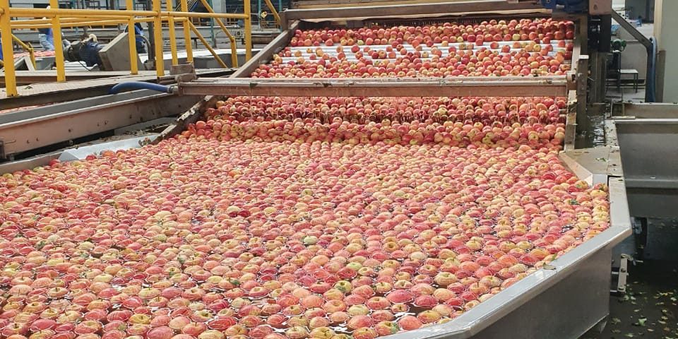 Conservação e armazenagem de frutas em atmosfera controlada – Janus ...